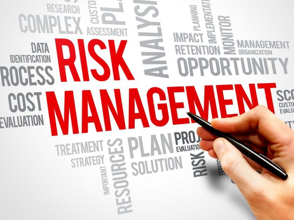 Chief Risk Officers Archives - IRM India Affiliate